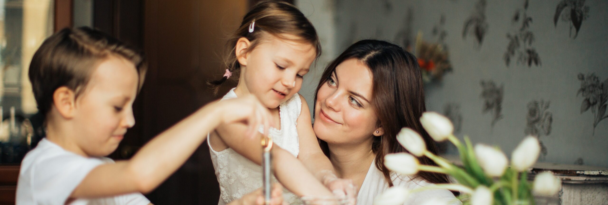 Family Planning - Emvision Capital